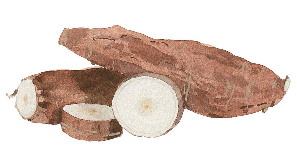 Tapioca Starch - Weleda